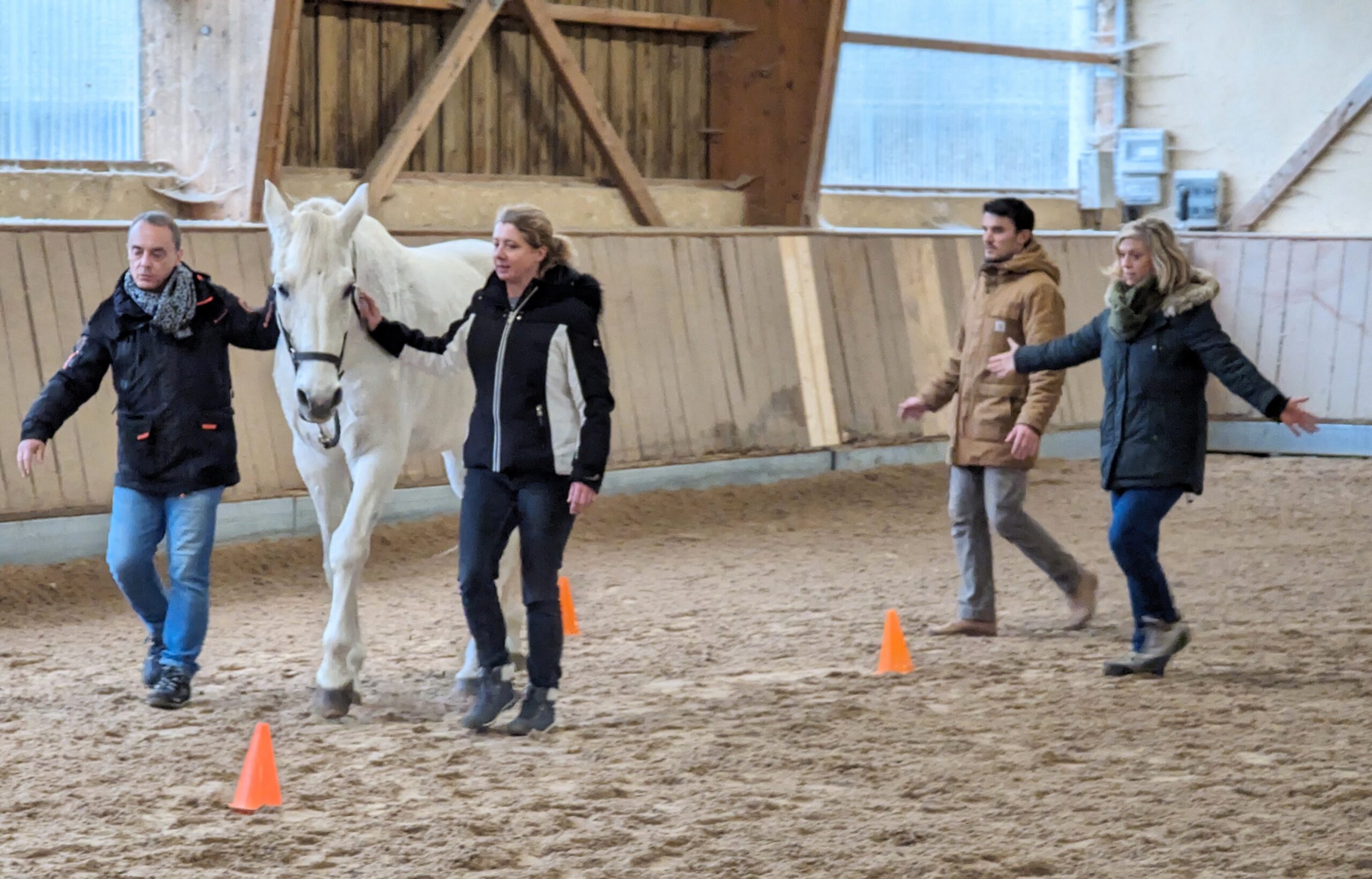 Pourquoi le cheval dans les formations management - L'Académie Equicoaching